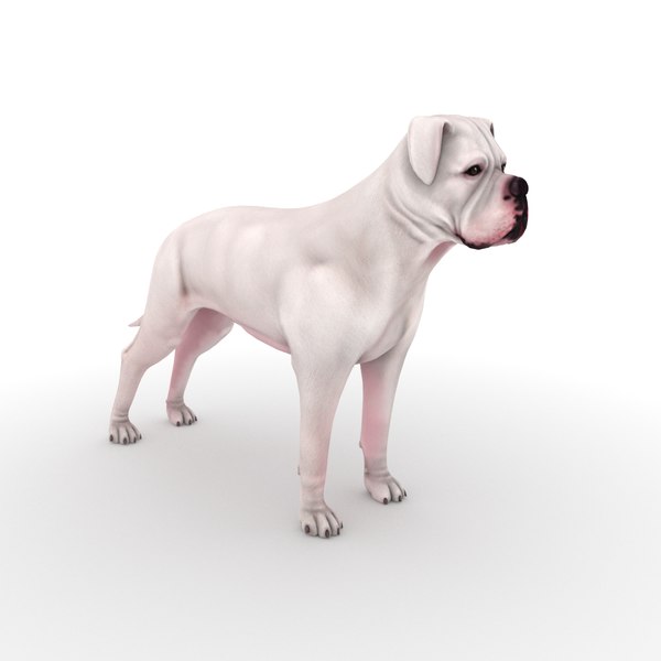 american bulldog 3d model