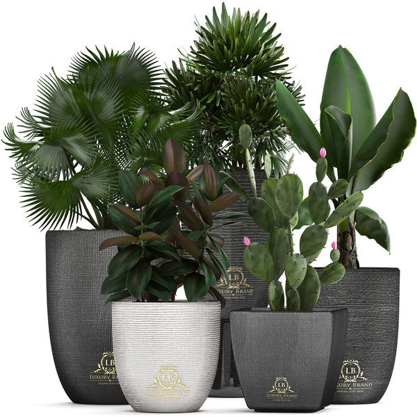 3D exotic plants model - TurboSquid 1373390