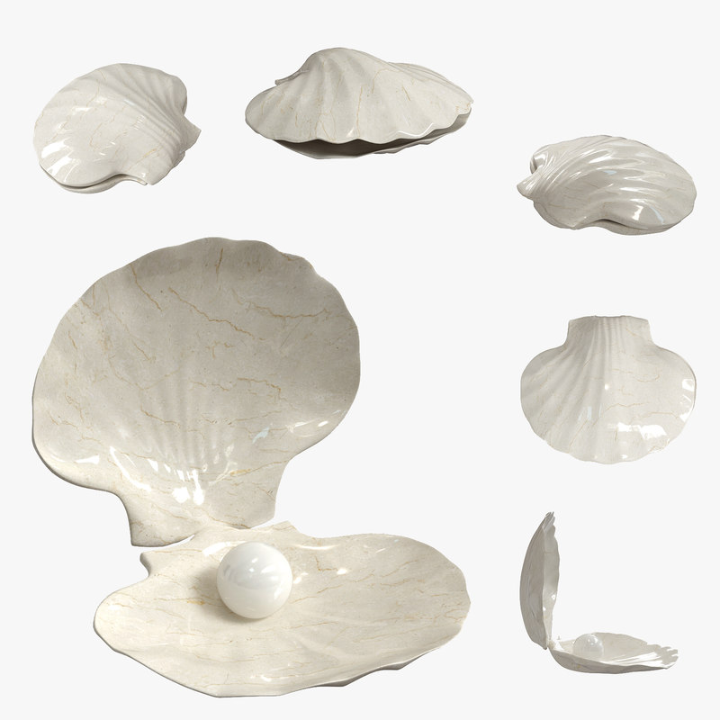 3D sea shell pearl decor - TurboSquid 1373871