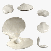 AutoCAD drawing Shell Models | TurboSquid