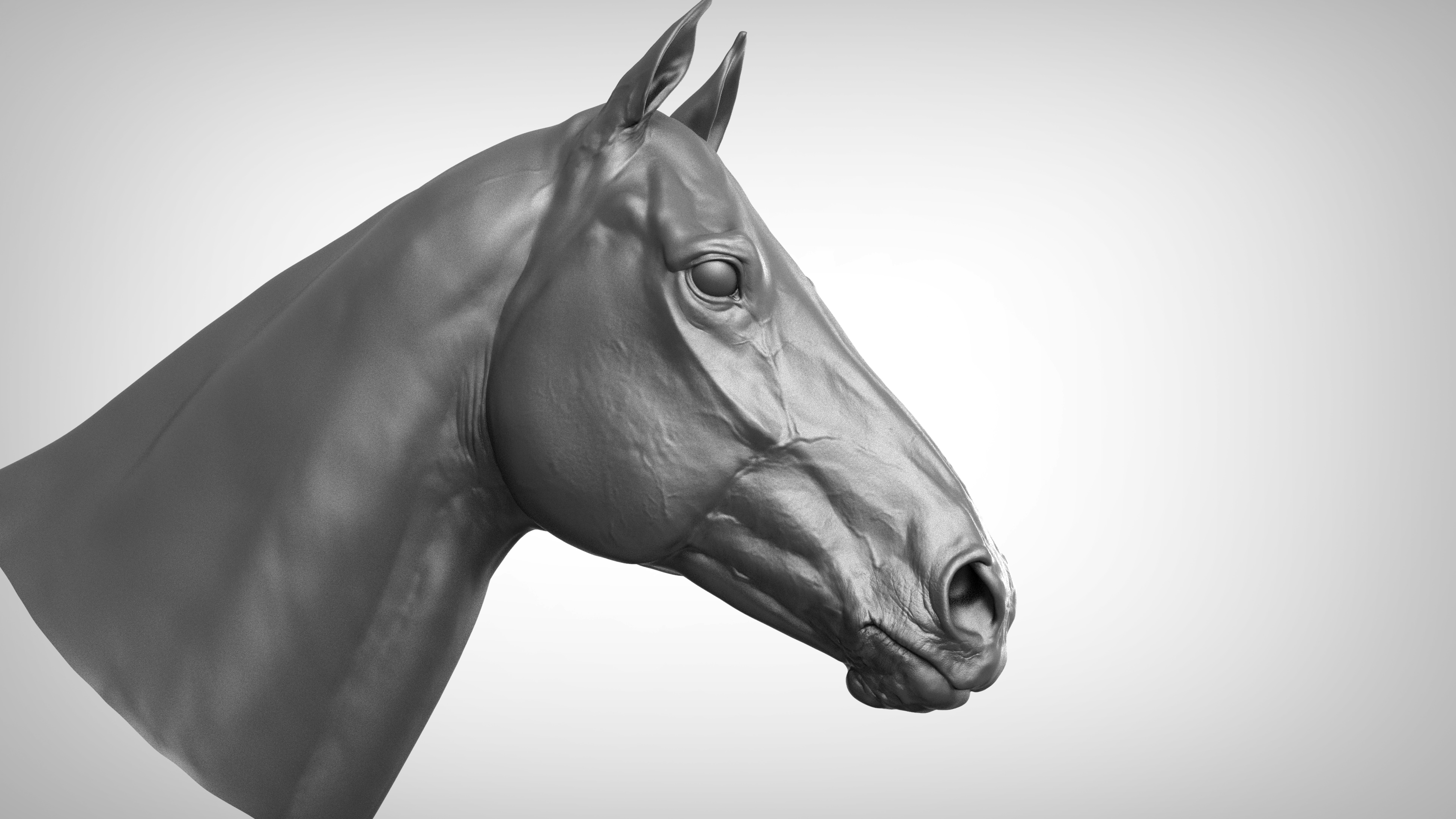 Horse head v2 3D model - TurboSquid 1375470