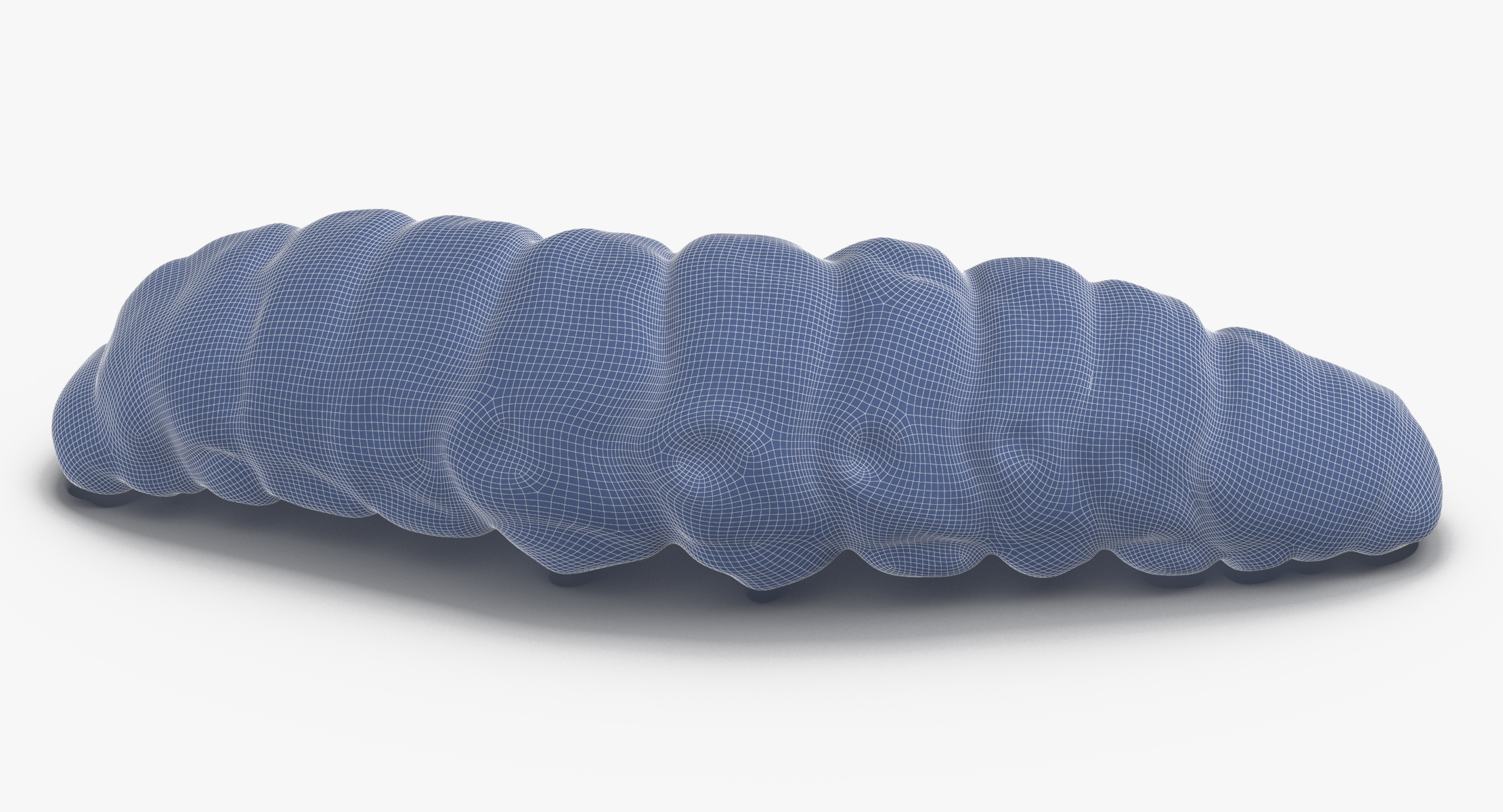 3D maggot crawling model - TurboSquid 1375521