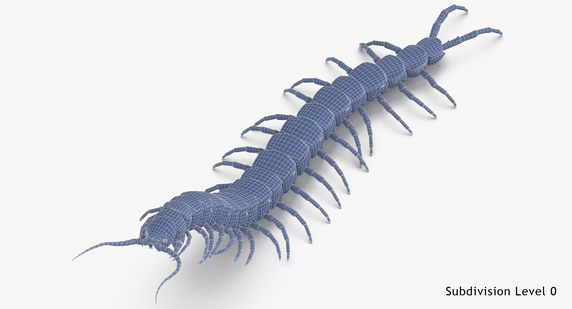 3D centipede standing model - TurboSquid 1375569
