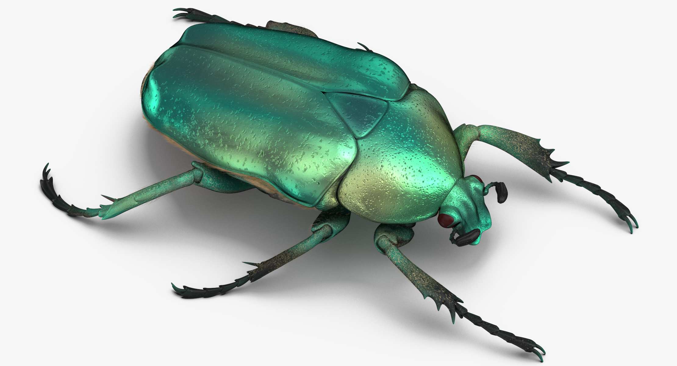 Green scarab beetle standing 3D model - TurboSquid 1375614