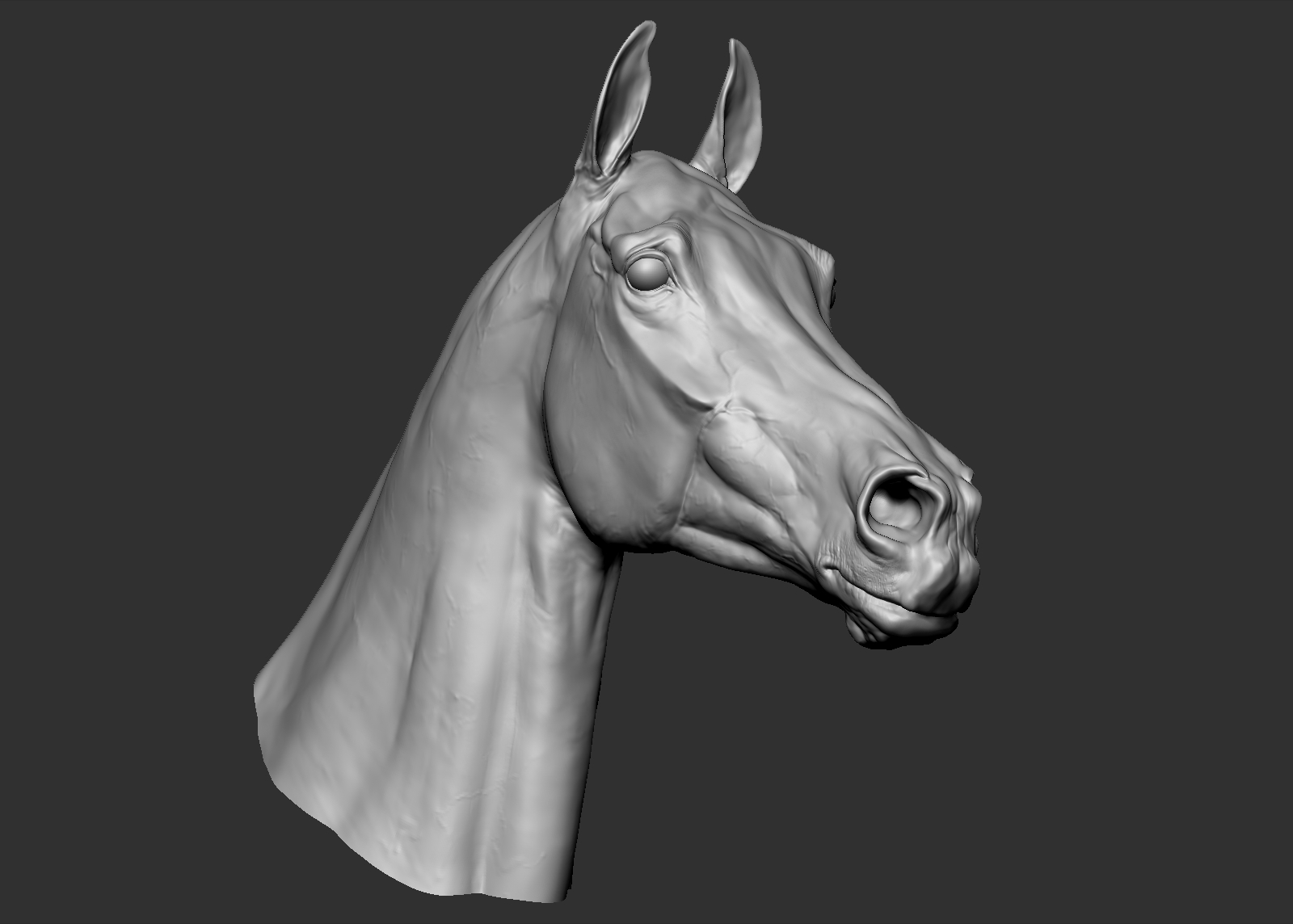 Modello 3D testa di cavallo da corsa v2 - TurboSquid 1375513