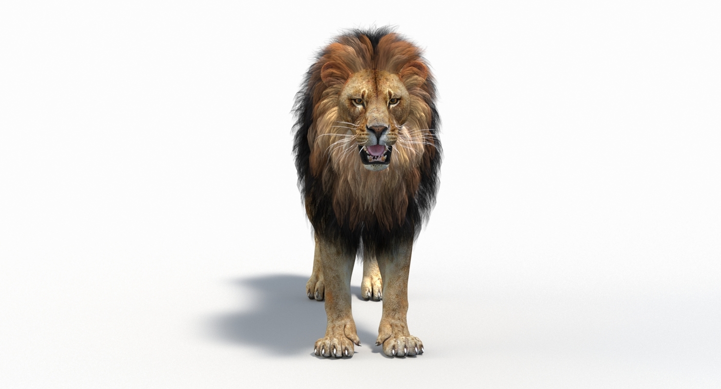 3D model lion 2 polygonal mane - TurboSquid 1375425
