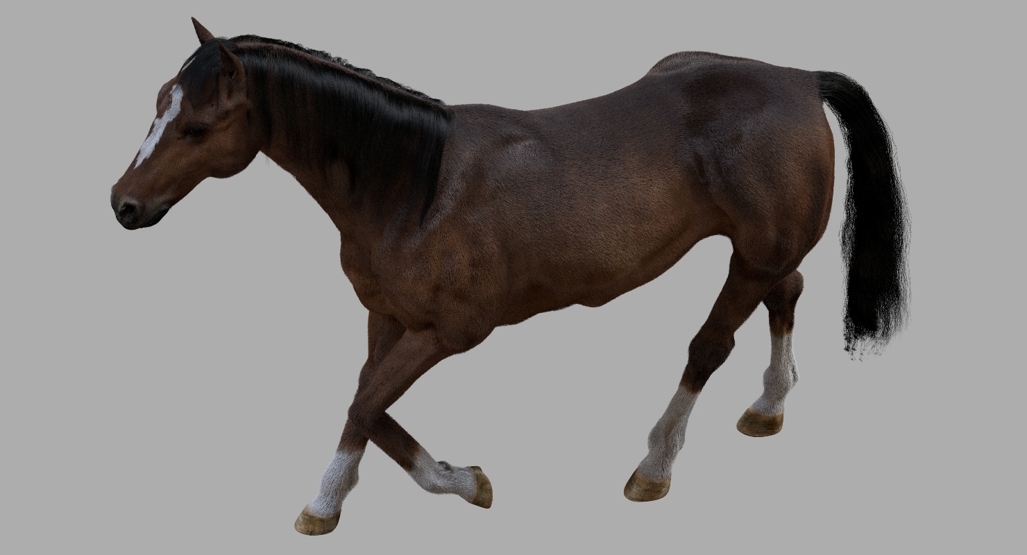 modèle 3D de Collection de chevaux (Rigged) - TurboSquid 1378877