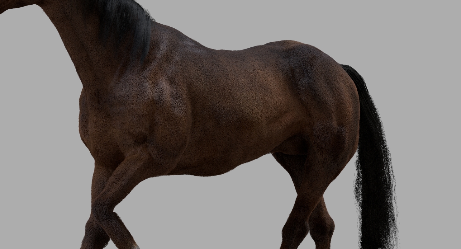 modèle 3D de Collection de chevaux (Rigged) - TurboSquid 1378877