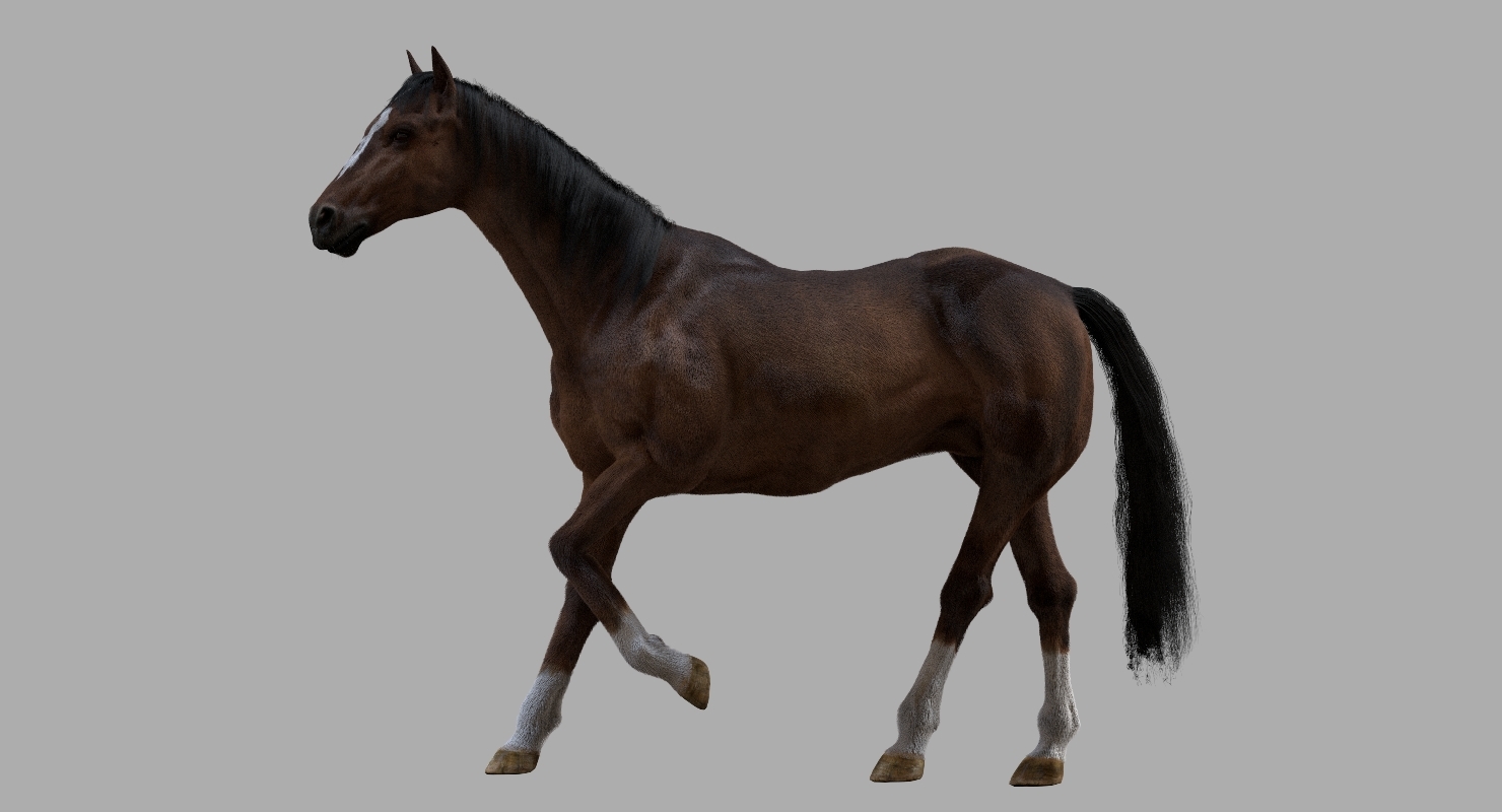modèle 3D de Collection de chevaux (Rigged) - TurboSquid 1378877