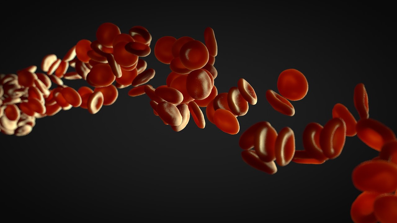 3D model red blood cell - TurboSquid 1352678