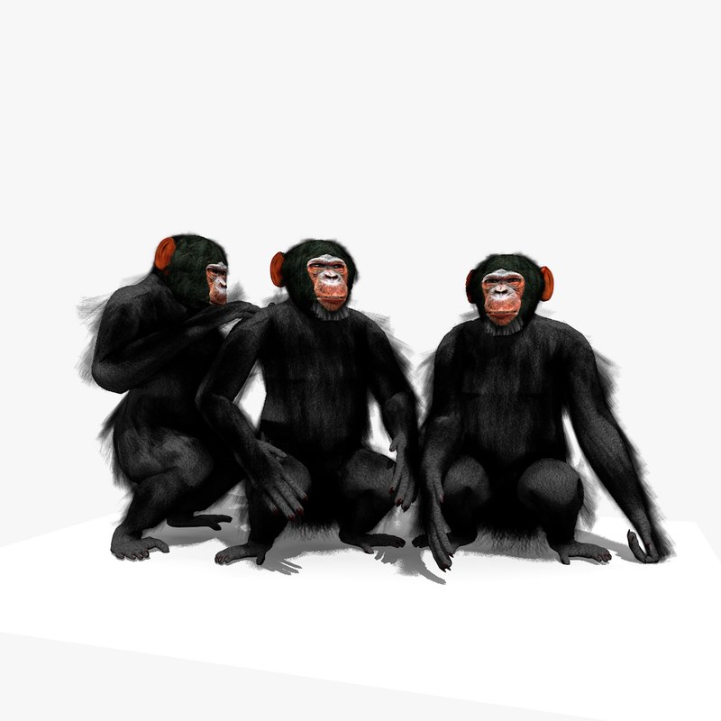 Group chimpanzee animation chimp 3D model - TurboSquid 1376900