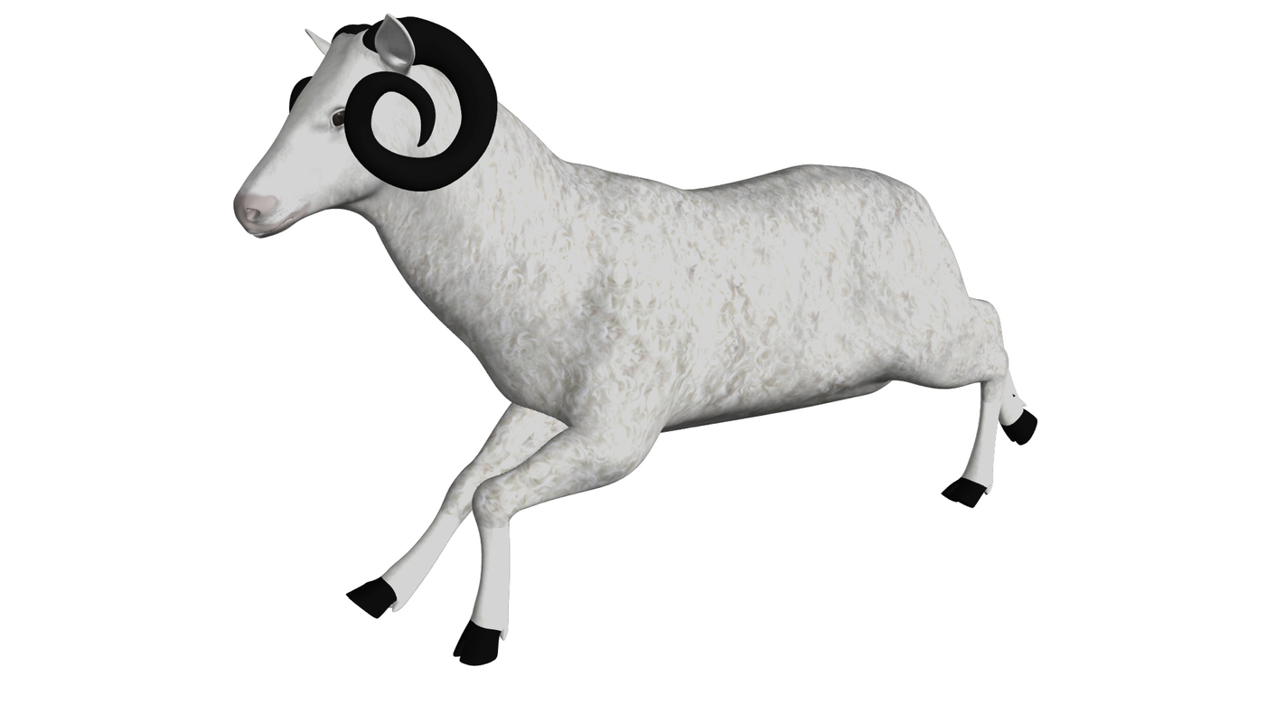 3D rigged sheep animations - TurboSquid 1377046