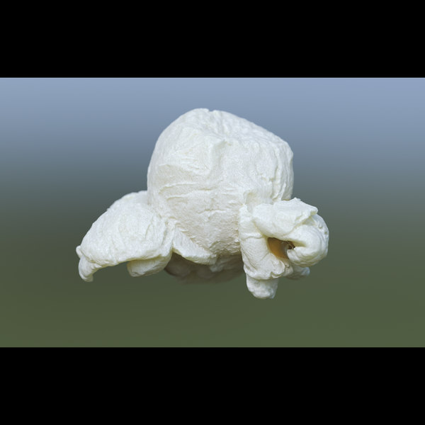 Popcorn 3D Models for Download | TurboSquid