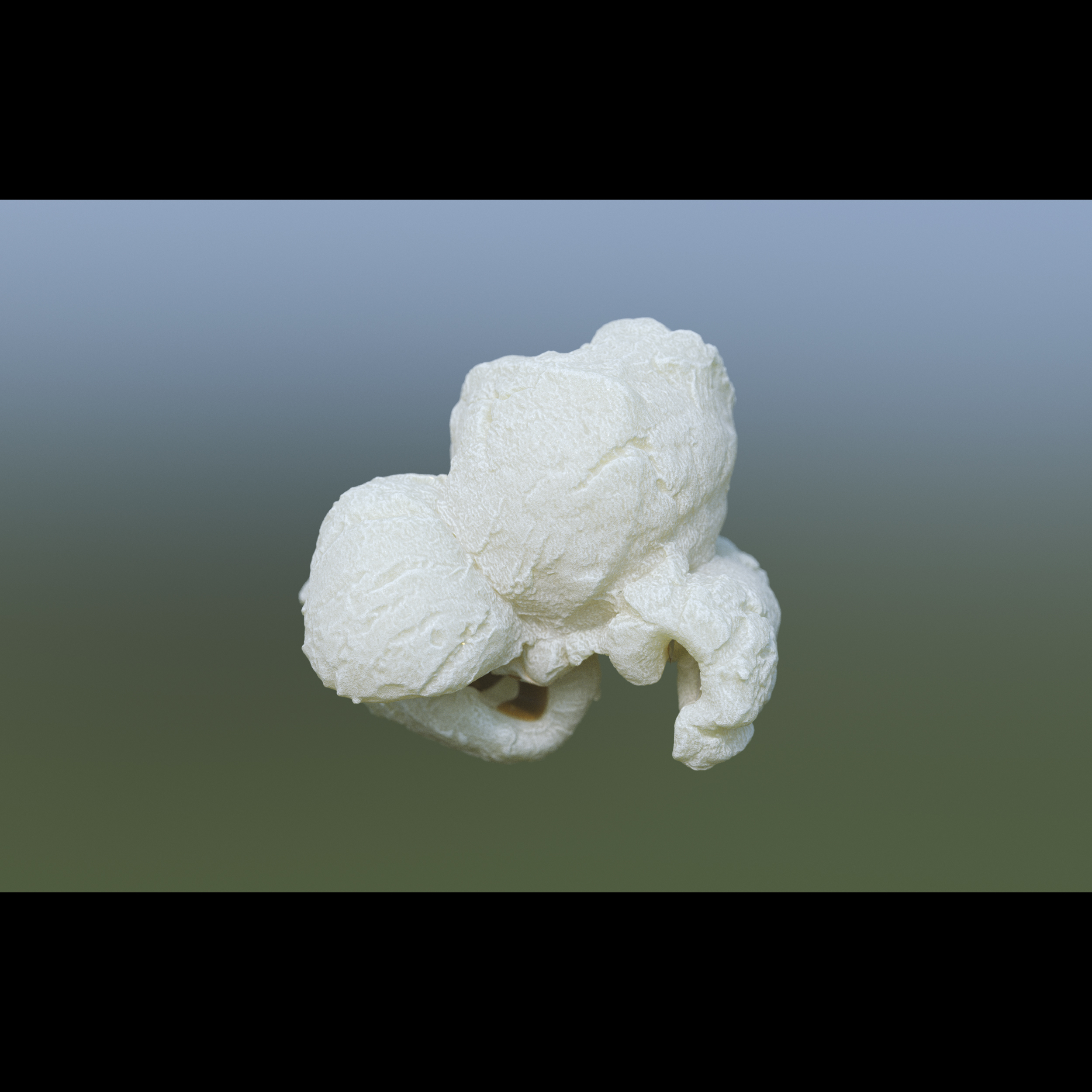 Popcorn food snack 3D model - TurboSquid 1377431