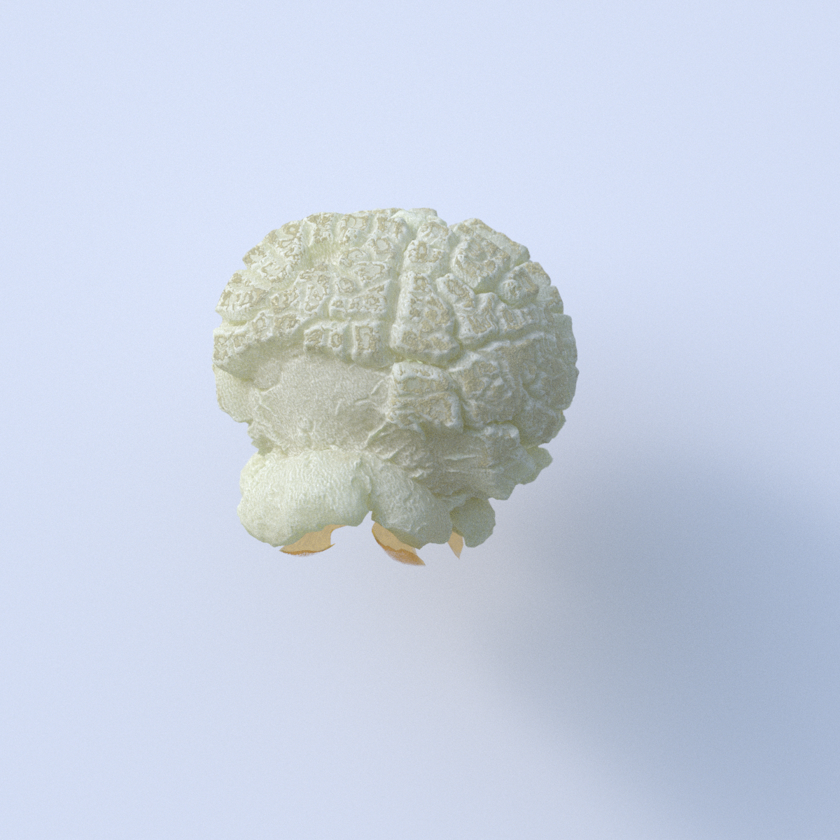 Popcorn food snack 3D model - TurboSquid 1377431