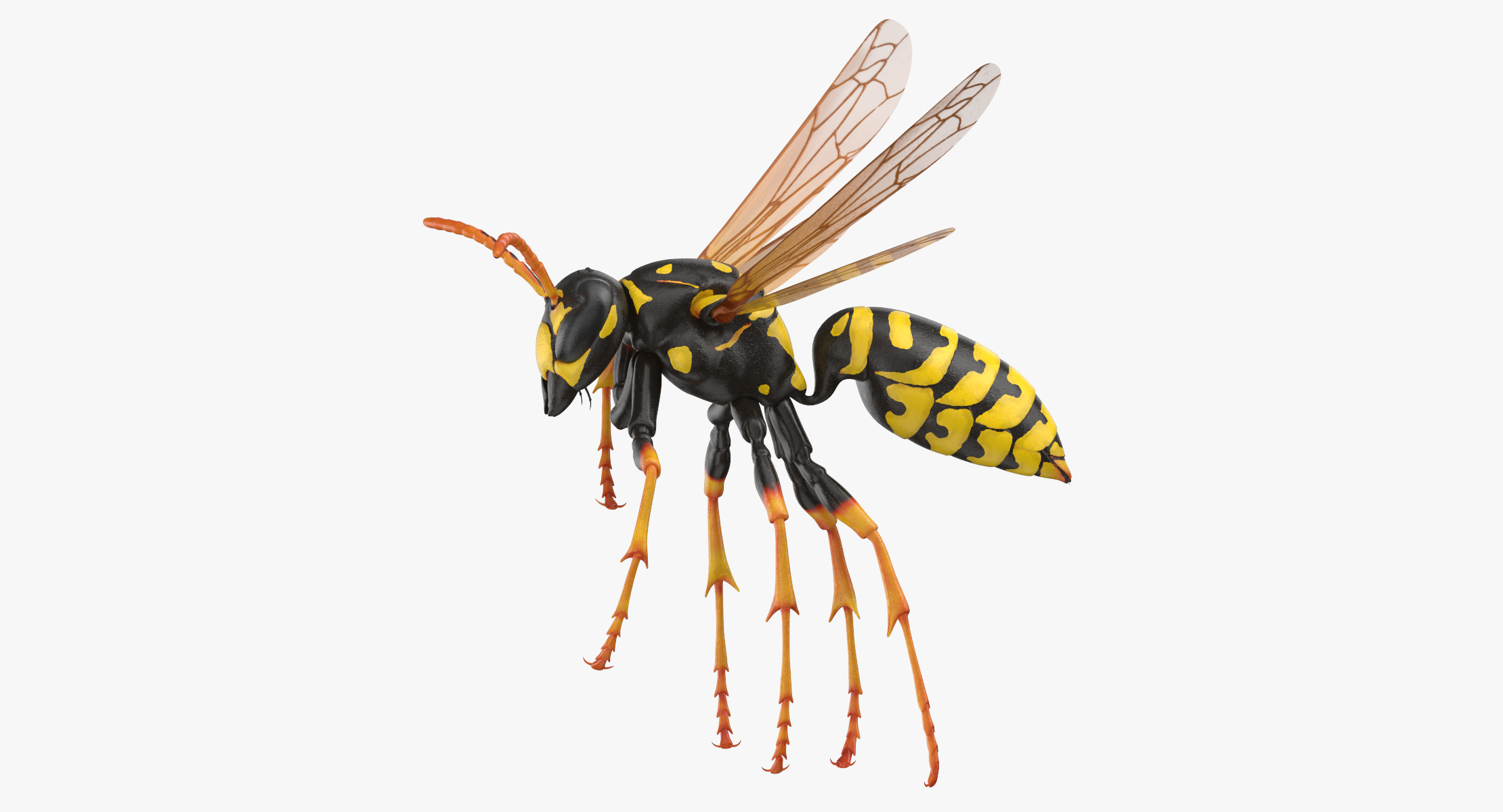 Paper wasp rigged 3D model - TurboSquid 1367389