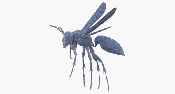 Paper wasp rigged 3D model - TurboSquid 1367389