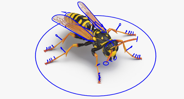 Paper wasp rigged 3D model - TurboSquid 1367389