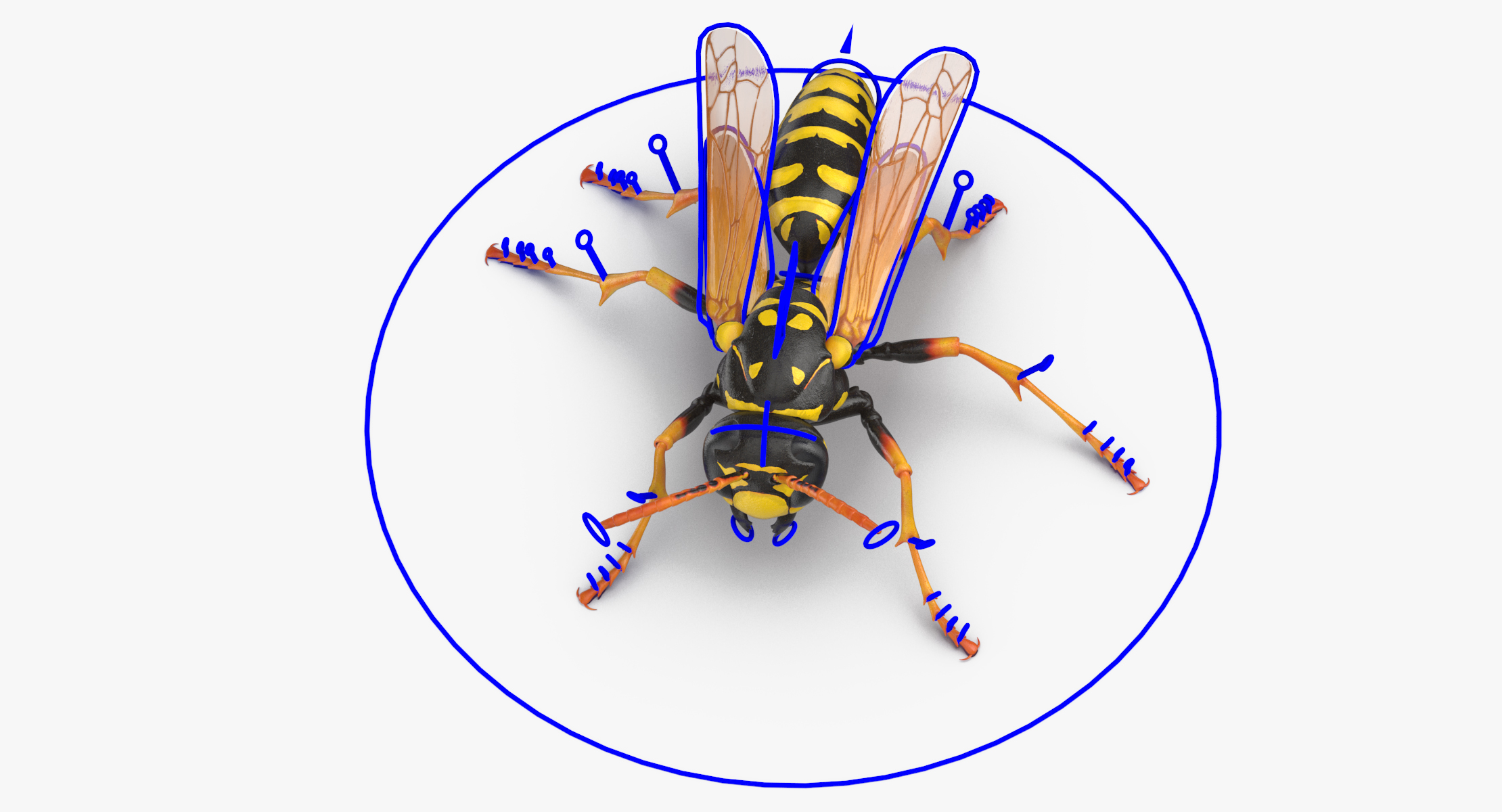 Paper wasp rigged 3D model - TurboSquid 1367389