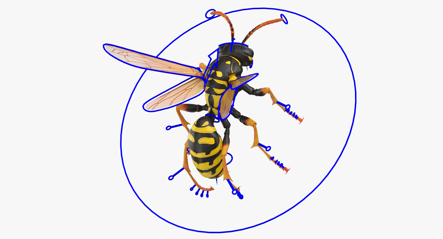 Paper wasp rigged 3D model - TurboSquid 1367389