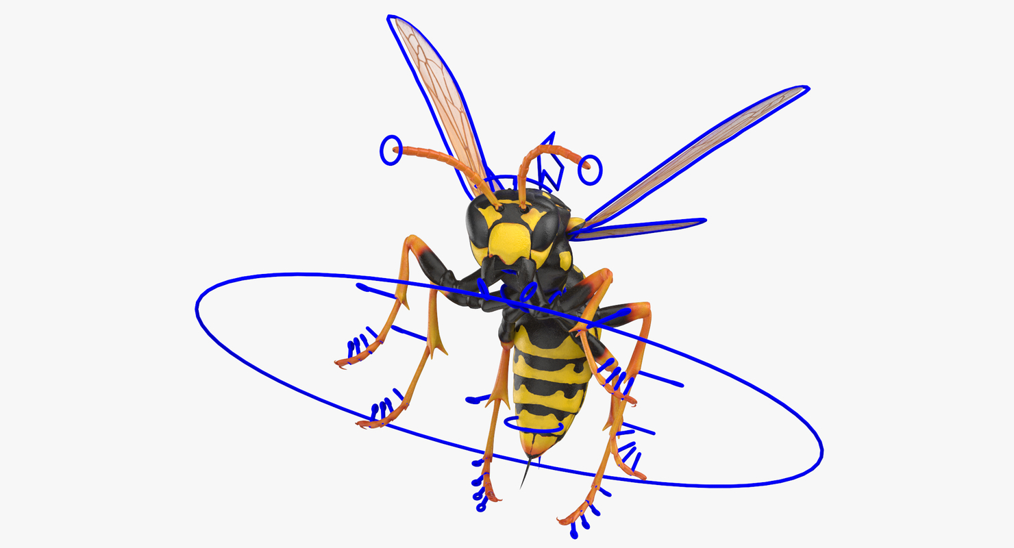 Paper wasp rigged 3D model - TurboSquid 1367389