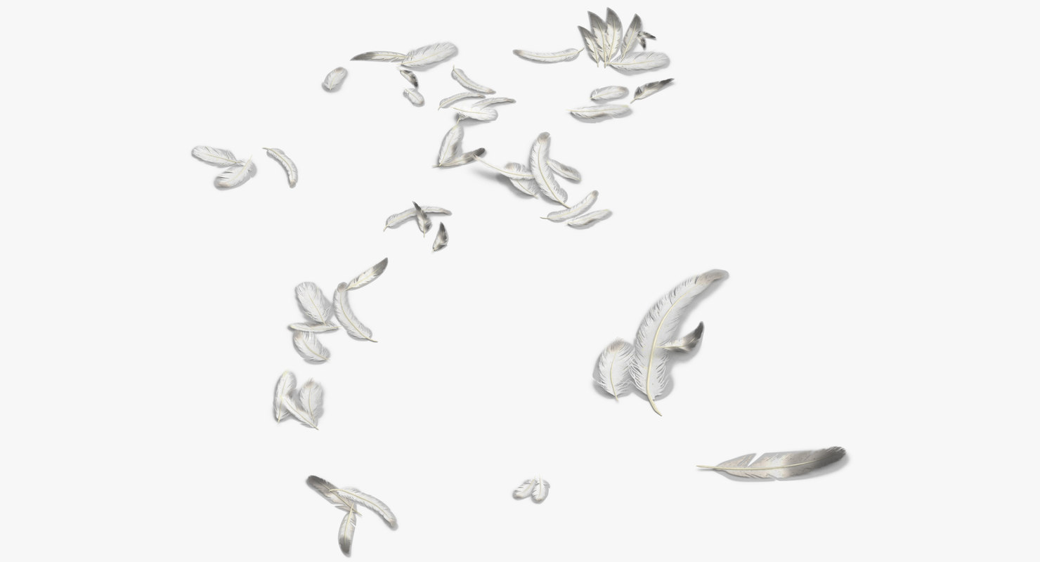 3D model scattered feathers small - TurboSquid 1359055
