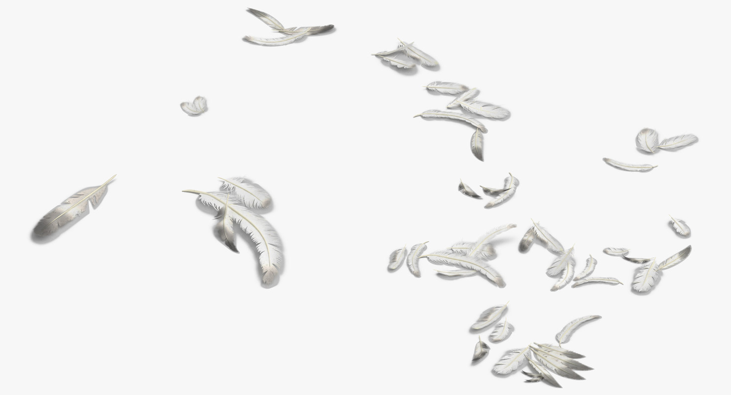 3D model scattered feathers small - TurboSquid 1359055