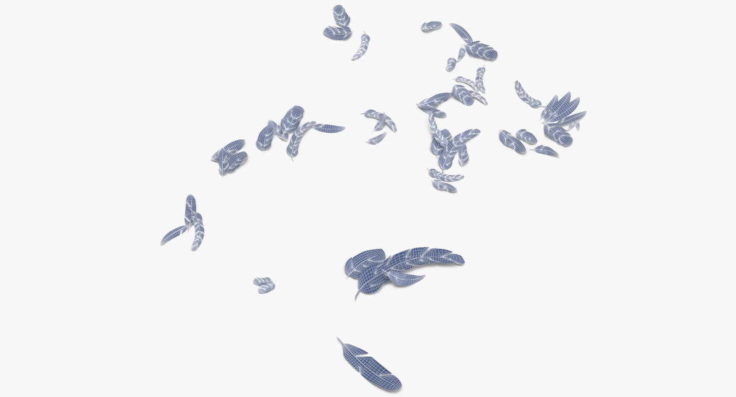 3D model scattered feathers small - TurboSquid 1359055