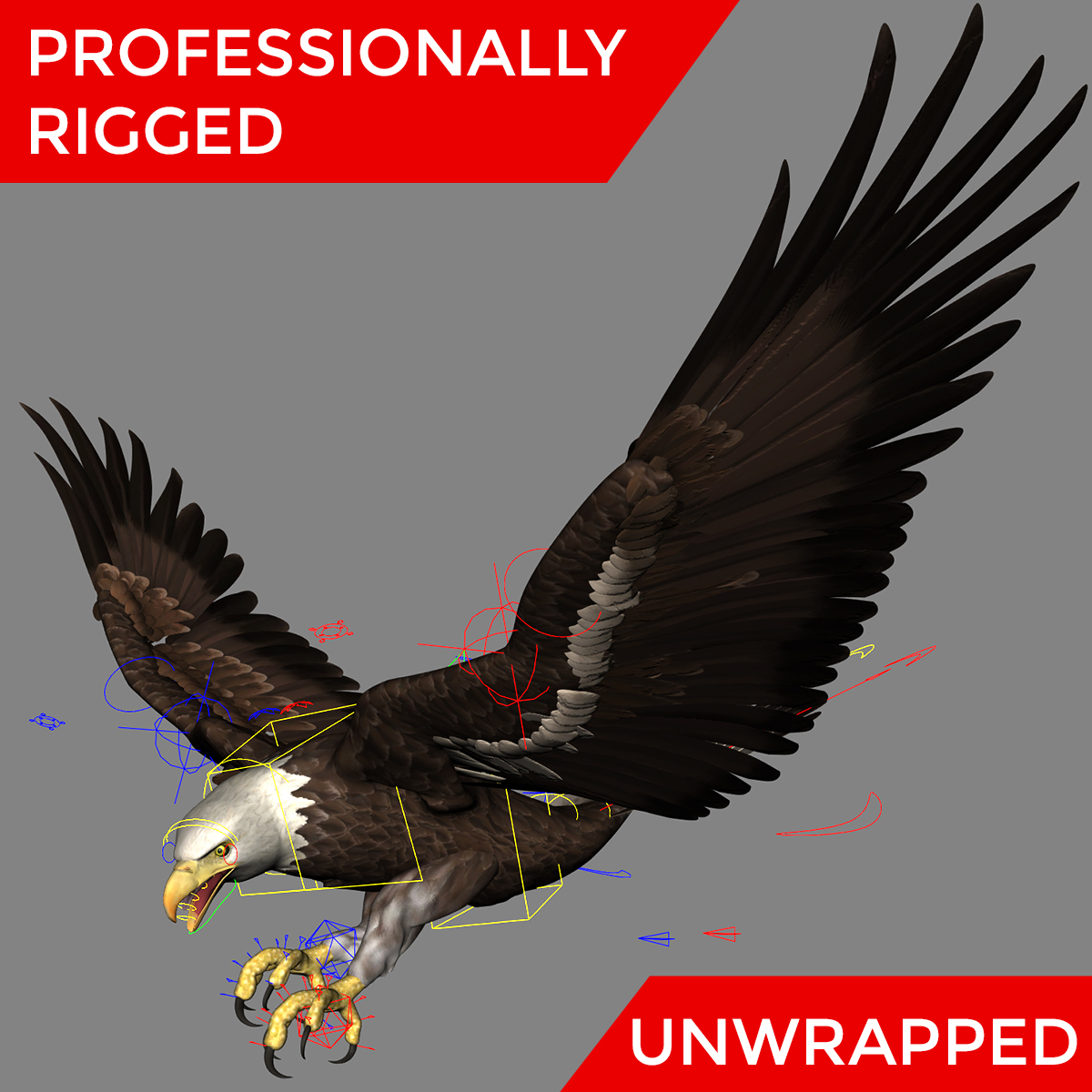 3D bald eagle rigged modelled model - TurboSquid 1377645