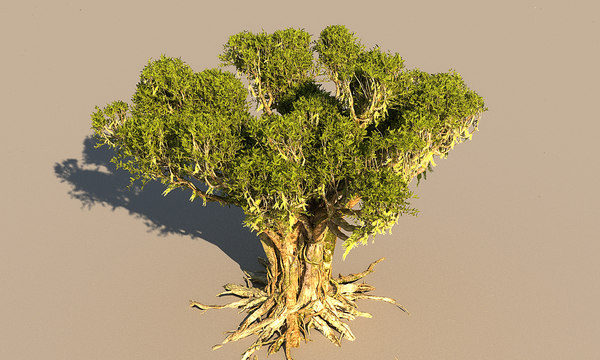 Japanese tree forest 3D model - TurboSquid 1377883