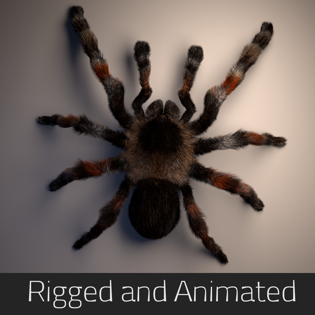 3D tarantula rigged - TurboSquid 1378261