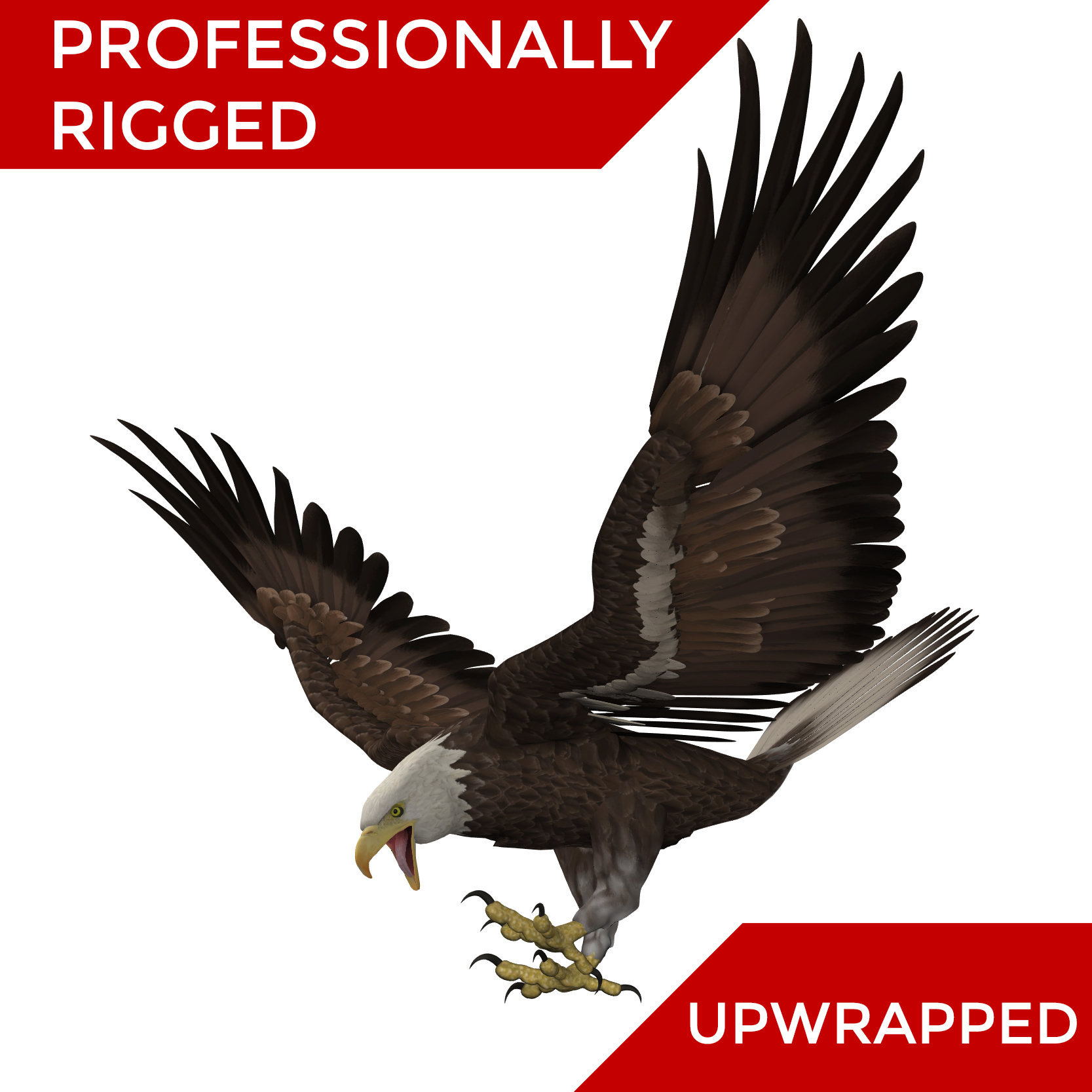 3D bald eagle rigged modelled model - TurboSquid 1377645