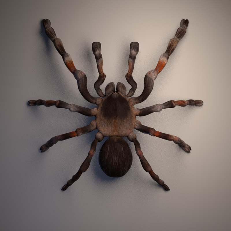 3D tarantula rigged - TurboSquid 1378261