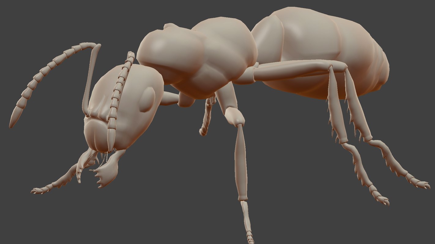 Ant blender 3D model - TurboSquid 1378173