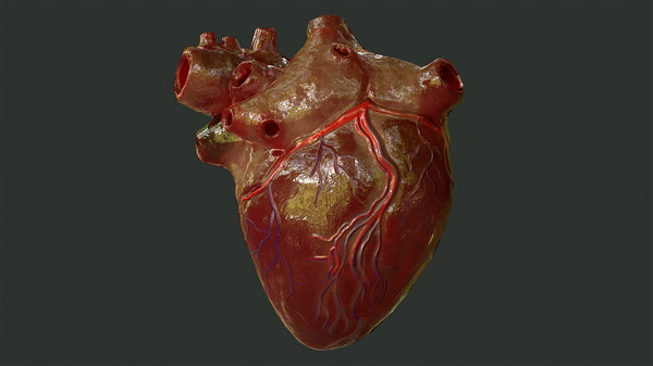 Modelos de 3D Corazon Gratis | TurboSquid