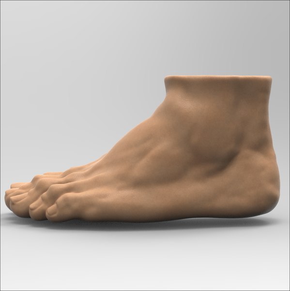 Foot 3D Models for Download | TurboSquid