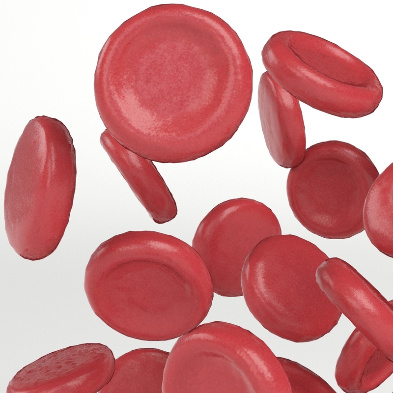modelo 3d las células rojas de la sangre - TurboSquid 1378393