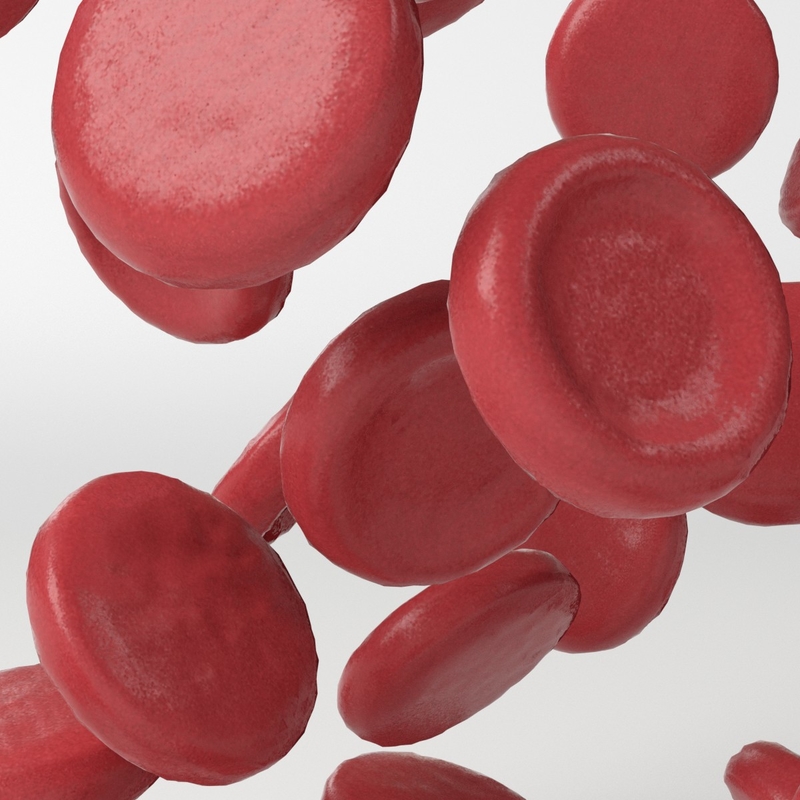 modelo 3d las células rojas de la sangre - TurboSquid 1378393