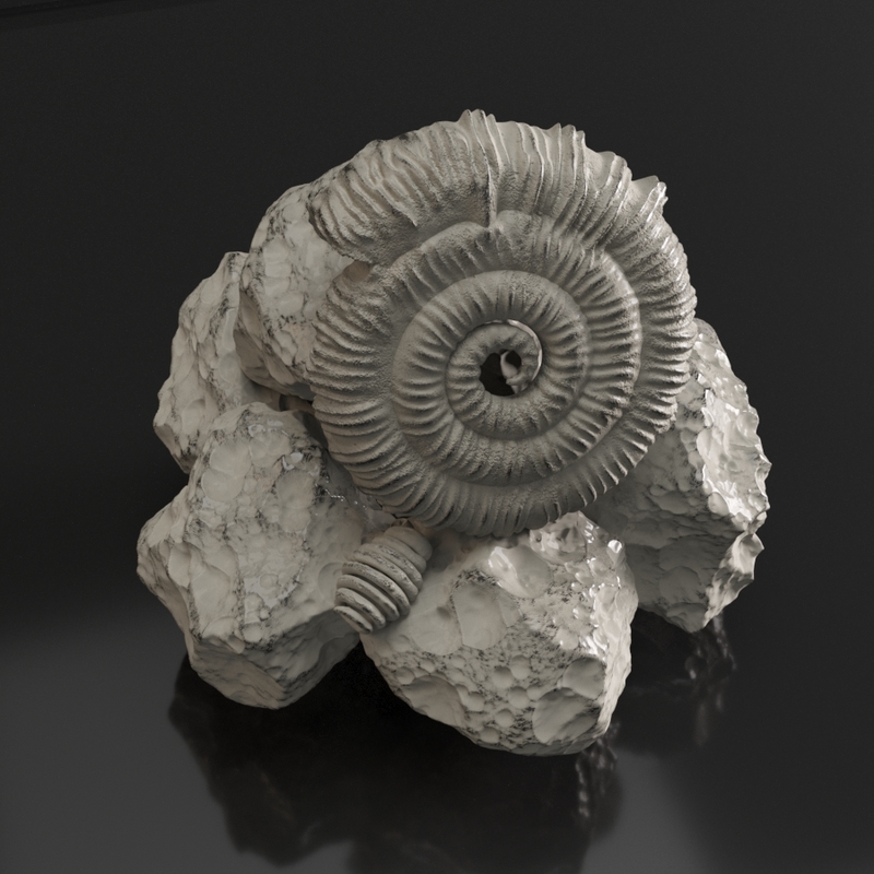modelo 3d Fósil de mar - TurboSquid 1378430
