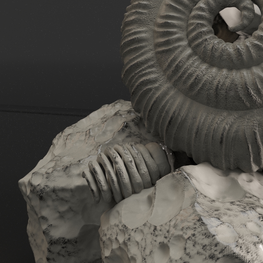 Sea fossil 3D model - TurboSquid 1378430