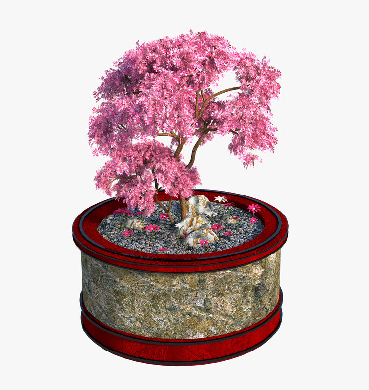 Tree japan 3D model - TurboSquid 1379065