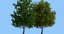 3D generic trees model - TurboSquid 1379117
