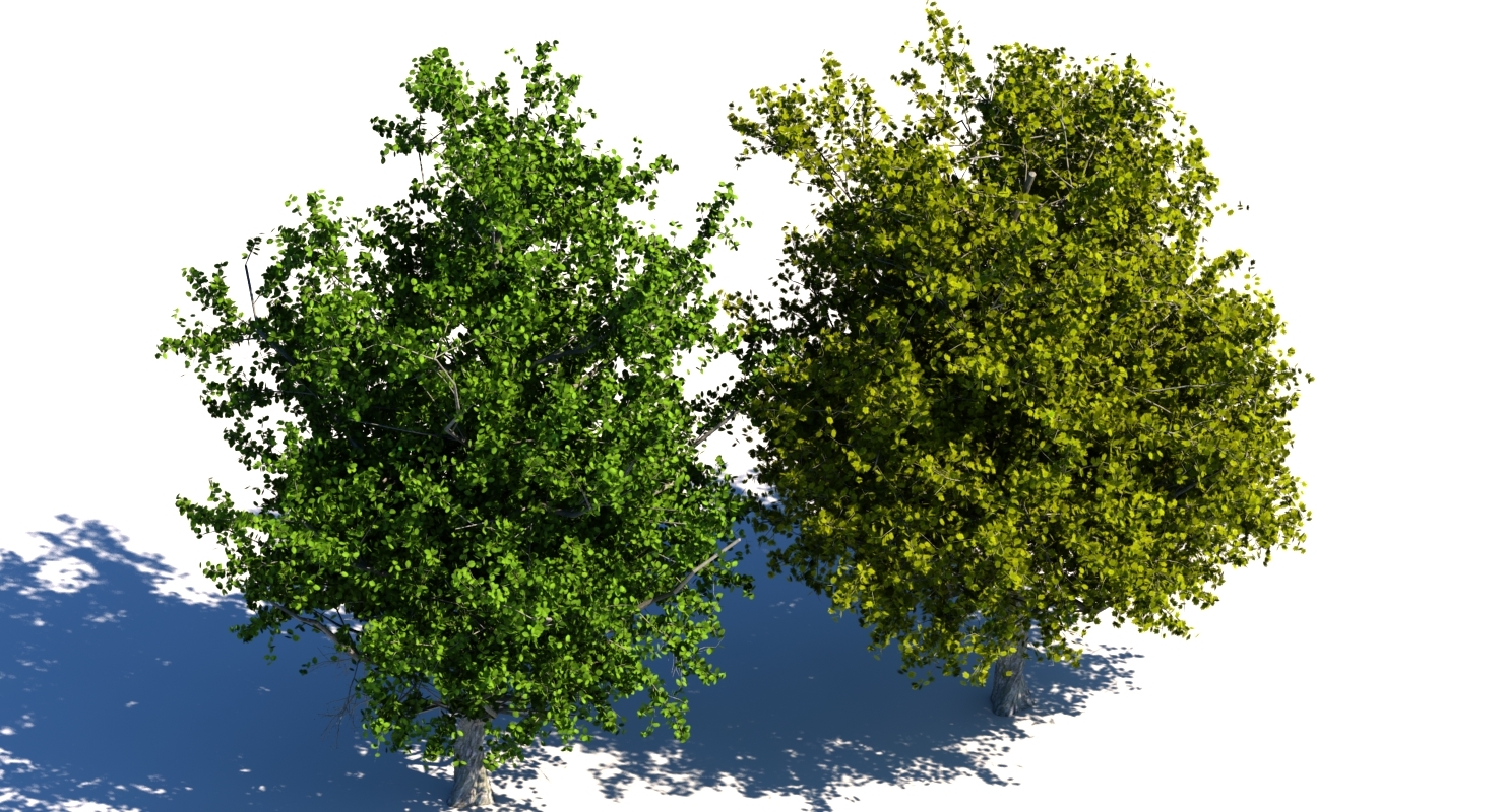 3D generic trees model - TurboSquid 1379117