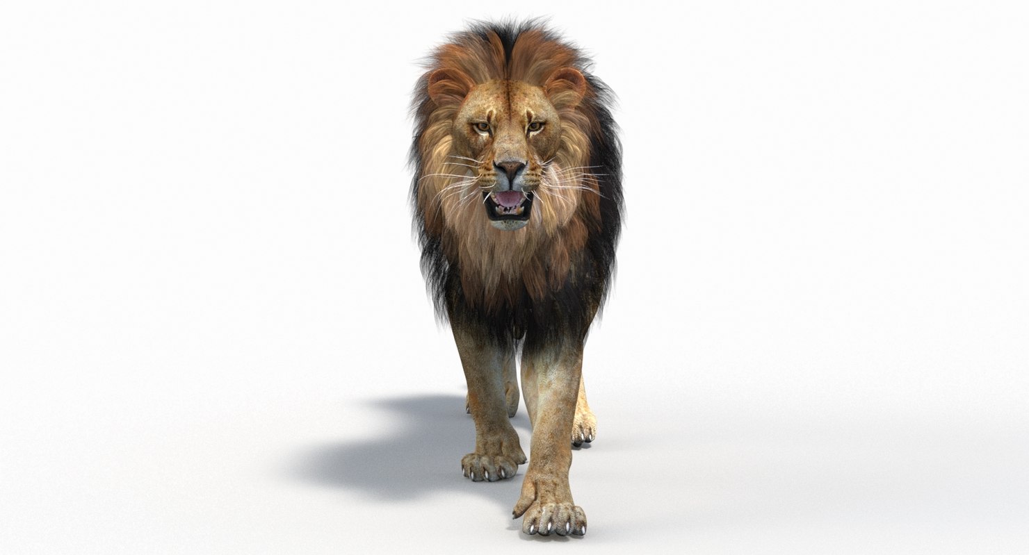 3D model lion 2 polygonal mane - TurboSquid 1375425
