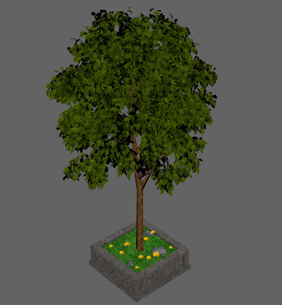 modelo 3d Árbol normal - TurboSquid 1379215