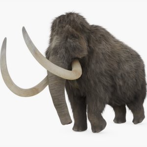 Mammoth 3D Models for Download | TurboSquid