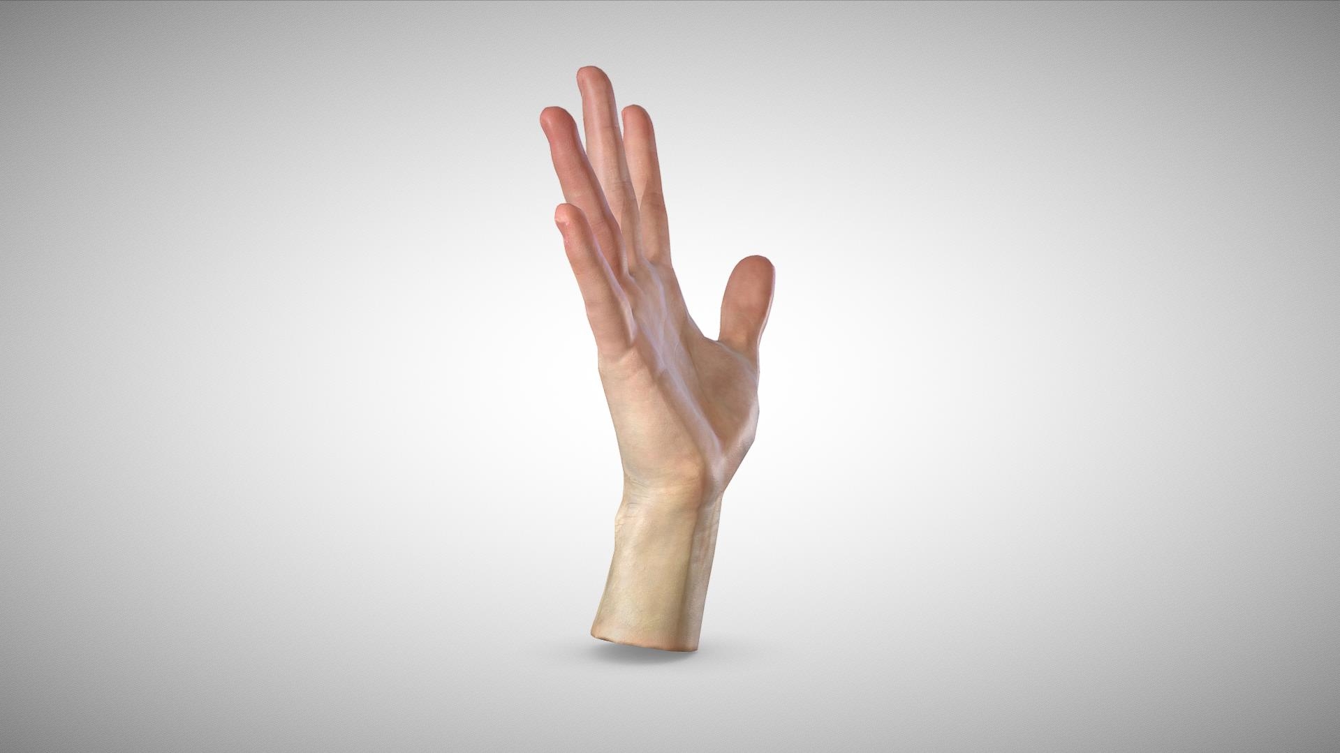 Scan hand 3D model - TurboSquid 1379311
