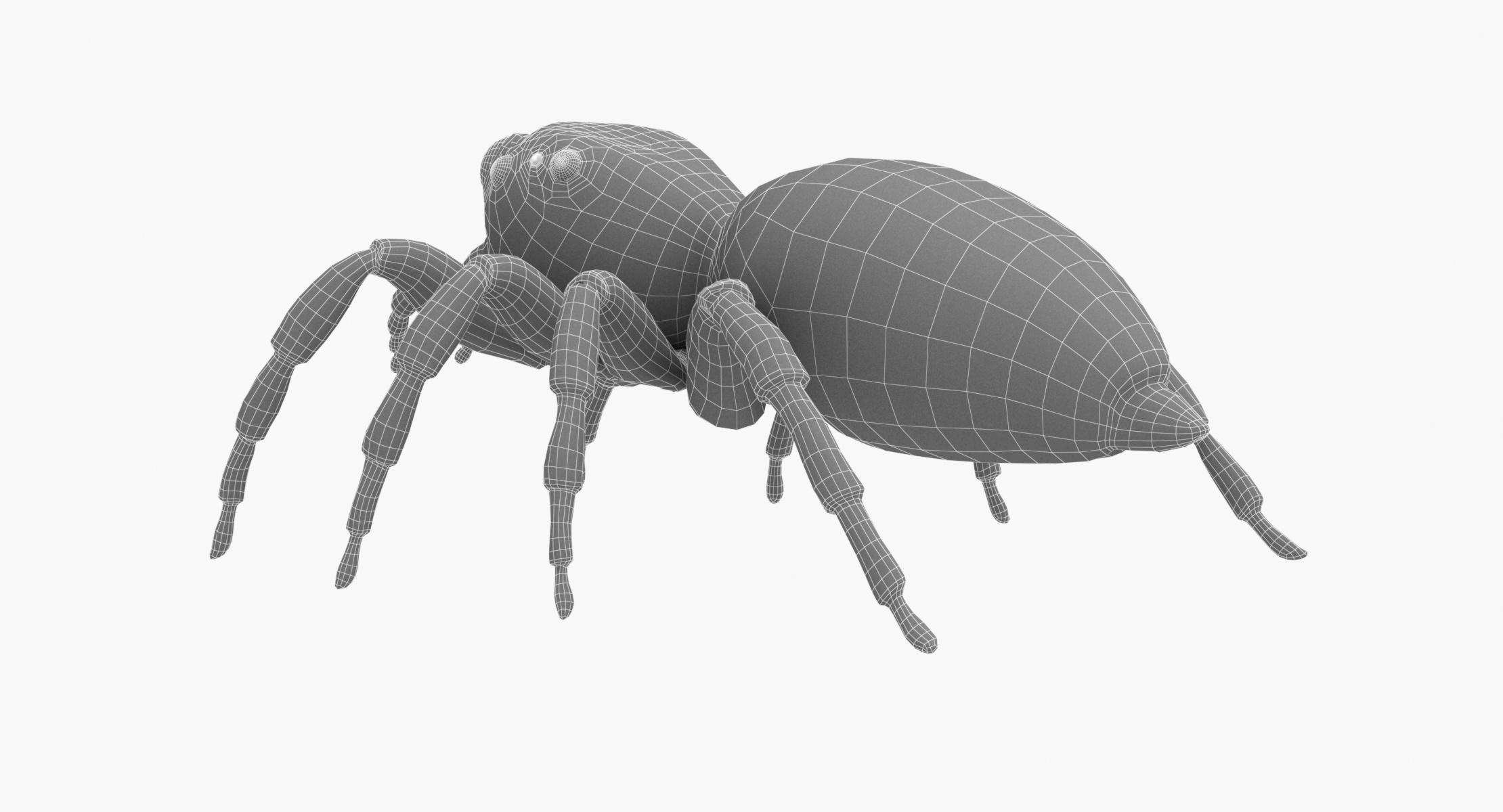 Jumping spider 3D model - TurboSquid 1379482