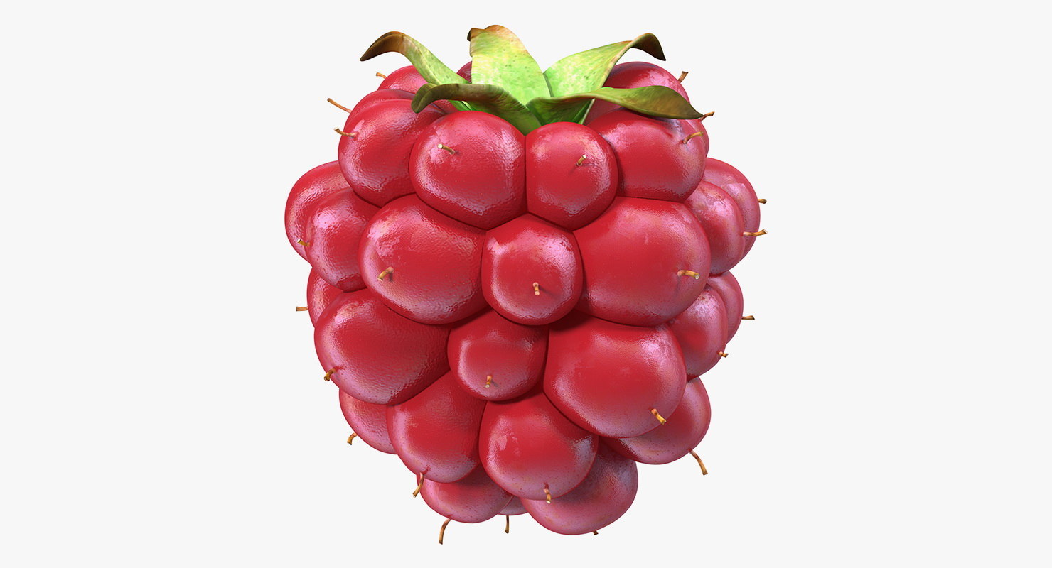 Ripe berry blackberry 3D model - TurboSquid 1379911