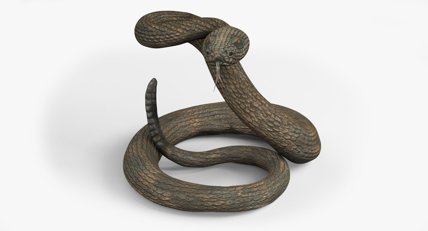 3D snake ornament - TurboSquid 1380198